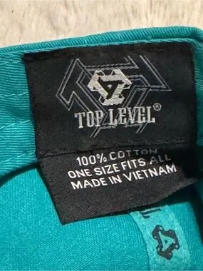 Top Level | Accessories | Top Level Skull Snapback Hat Teal Black Hear ...
